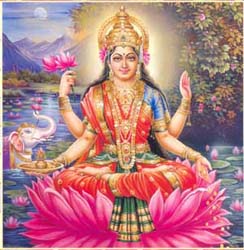 Gayatri Shakti Peeth, Vijay Nagar, Shreenath Talaiya Jabalpur, Madhya ...